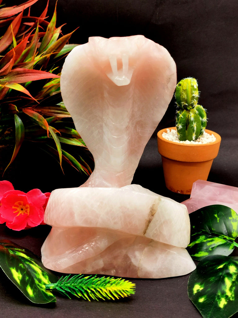 Cobra snake with raised hood carving in Rose Quartz stone - crystal he